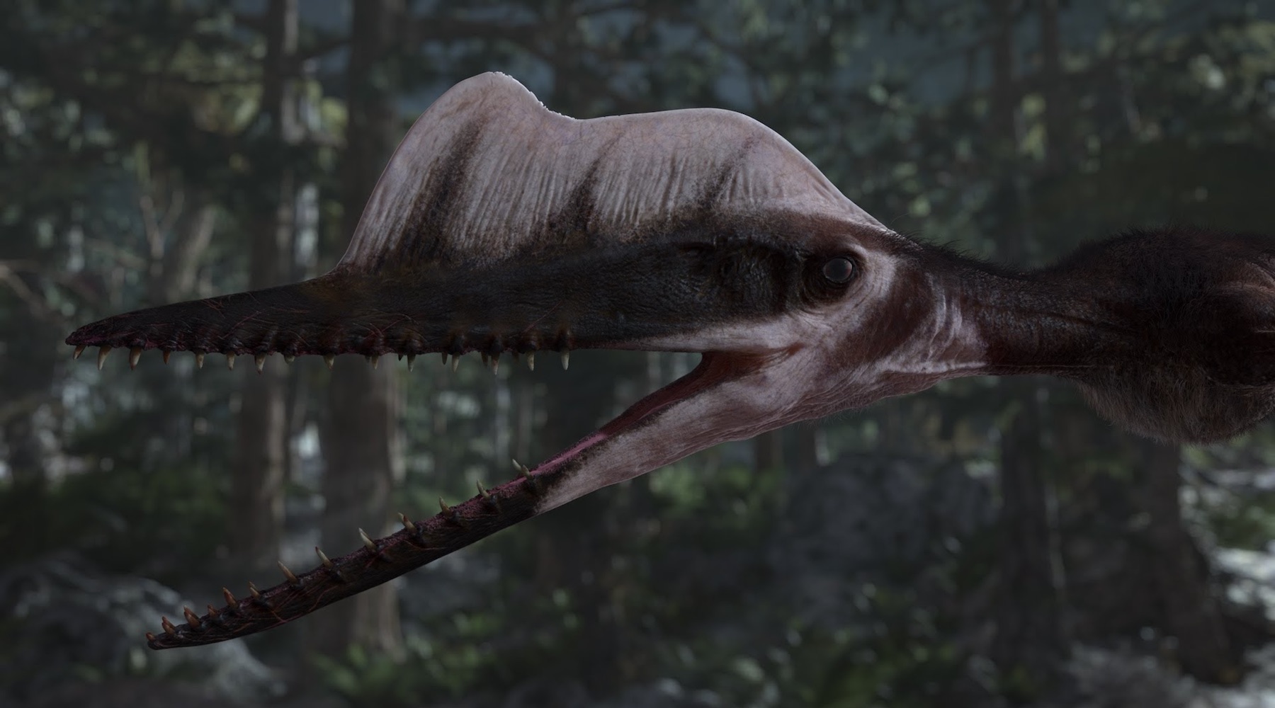 Flying Monsters | Goodbye Kansas Studios