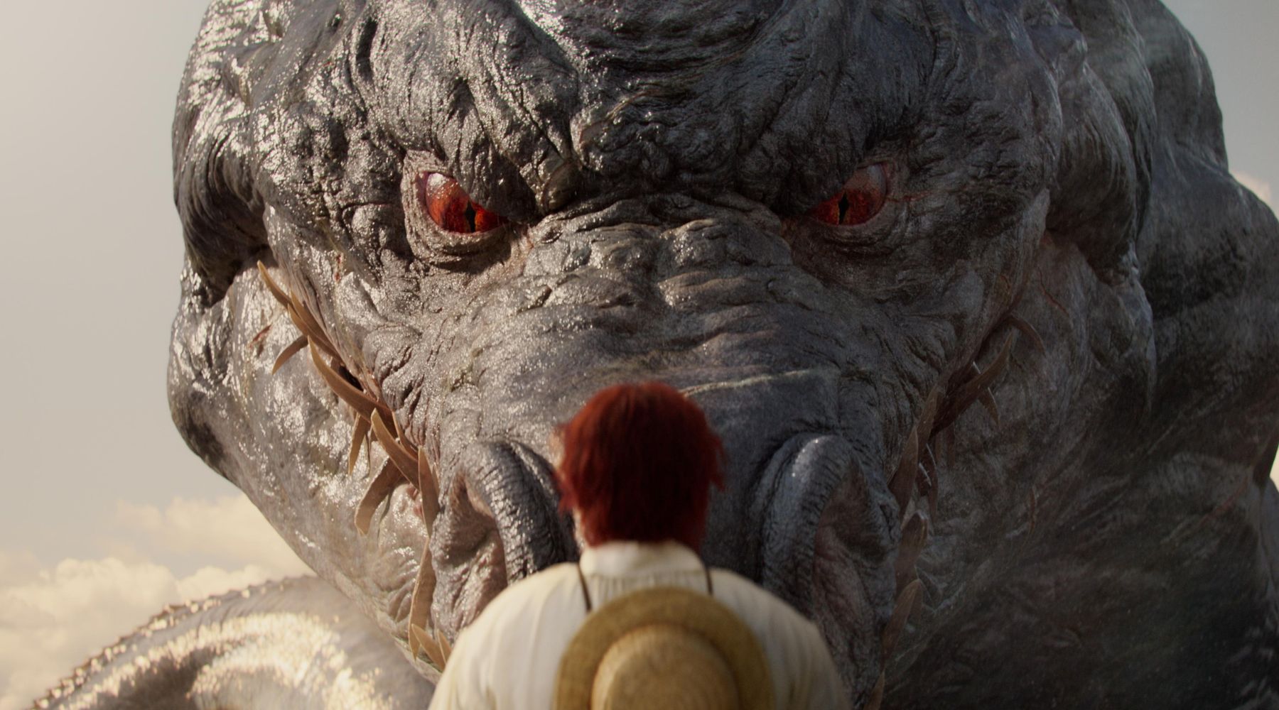 One Piece | Goodbye Kansas Studios